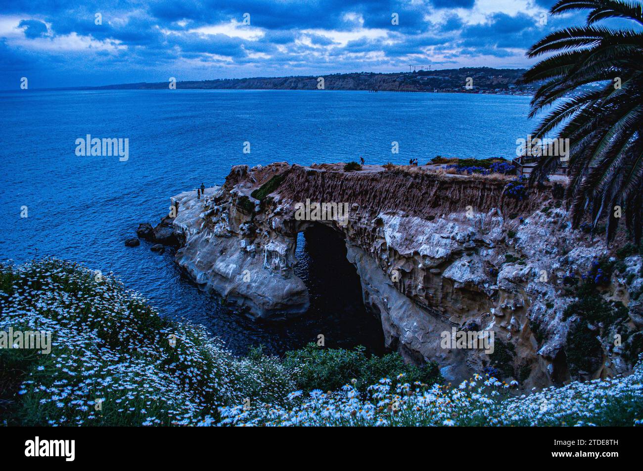 Beautiful overview of a calming ocean breeze. Looking at the picture ...