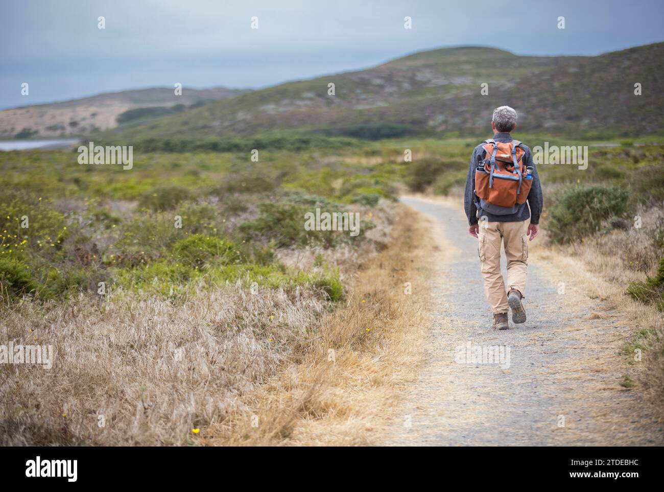 From behind, older man hiking in Point Reyes National Park Stock Photo ...