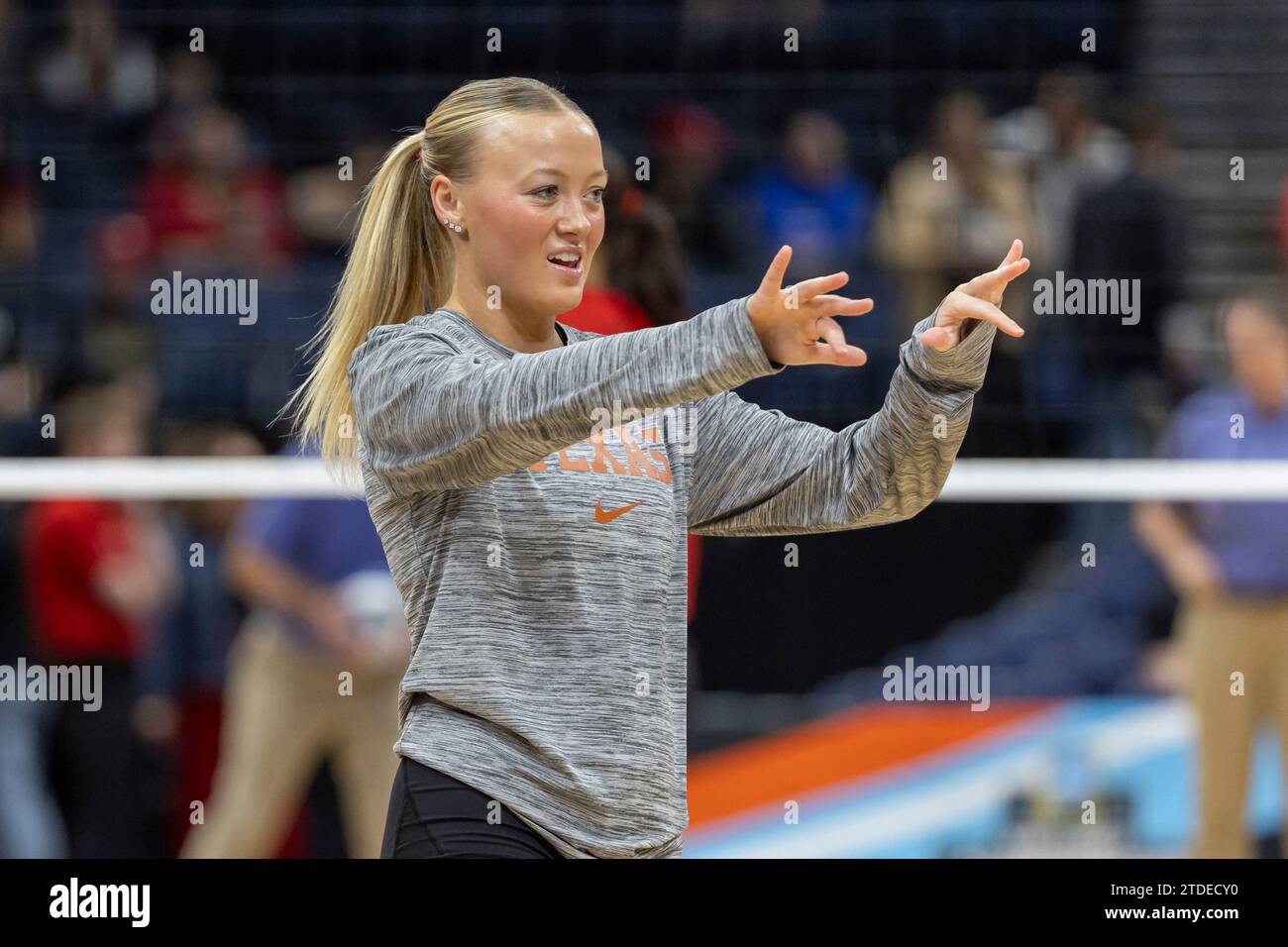 TAMPA, FL - DECEMBER 17: Texas libero Emma Halter (2) is on the court ...