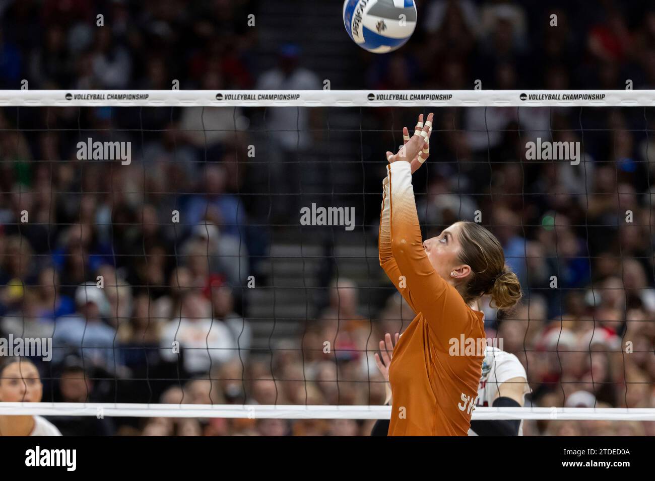 TAMPA, FL - DECEMBER 17: Texas setter Ella Swindle (1) watches the ball ...