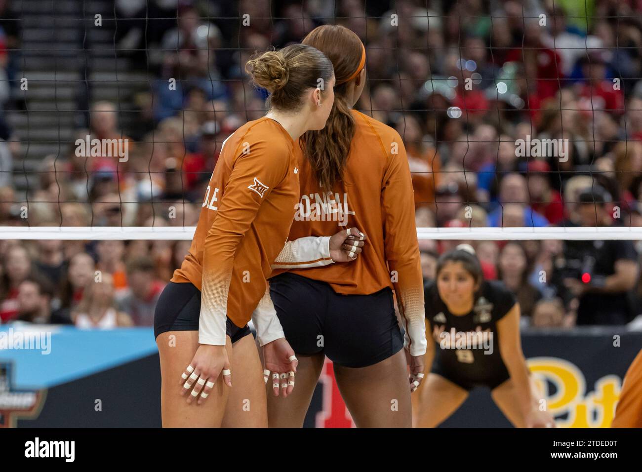 TAMPA, FL - DECEMBER 17: Texas middle blocker Asjia O'Neal (7) holds up ...
