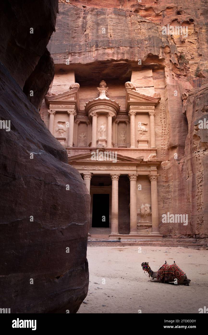One camel resting in front of iconic Treasury building, Petra Stock ...