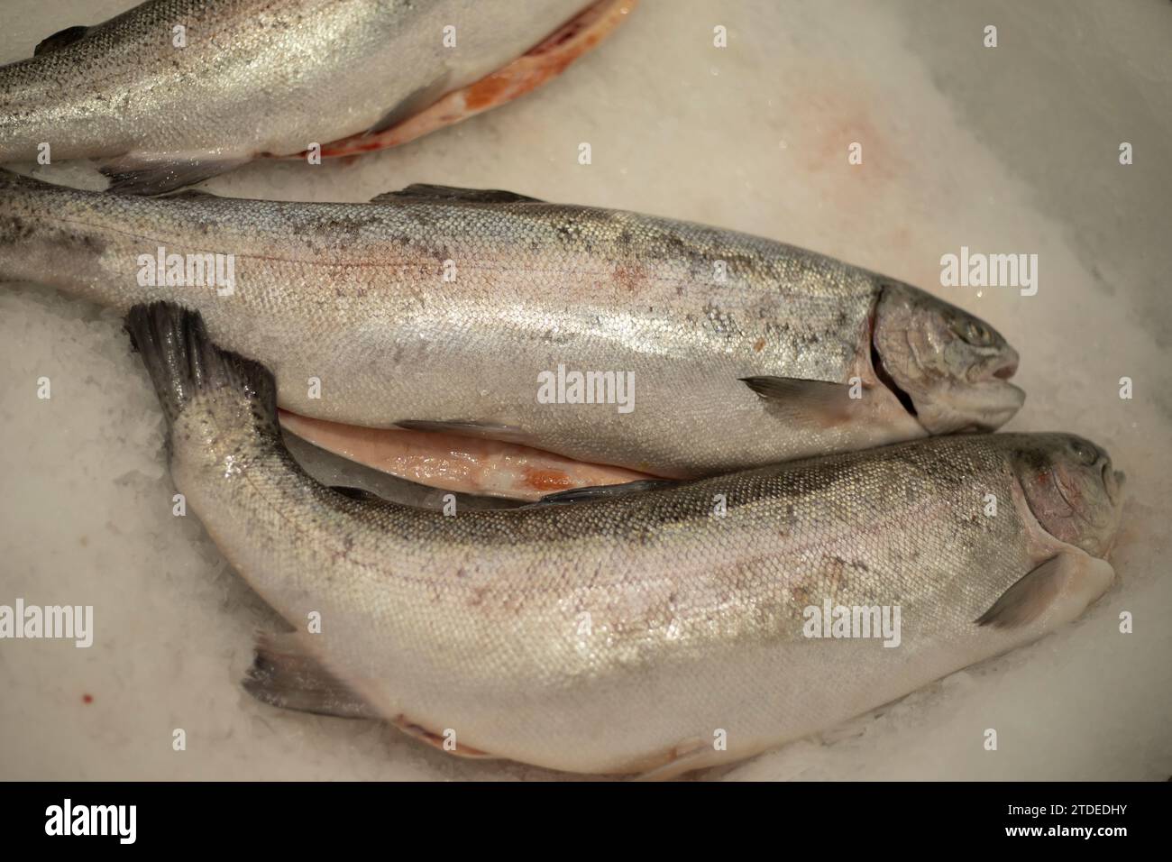 Meat department store color hi-res stock photography and images - Alamy