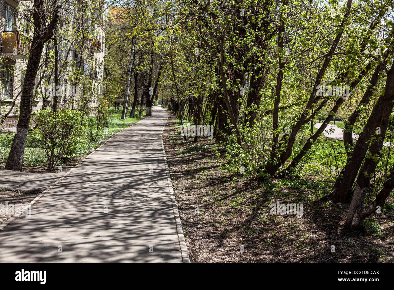 Path in the park. Shadow on the Path. Bright sun outside Stock Photo ...