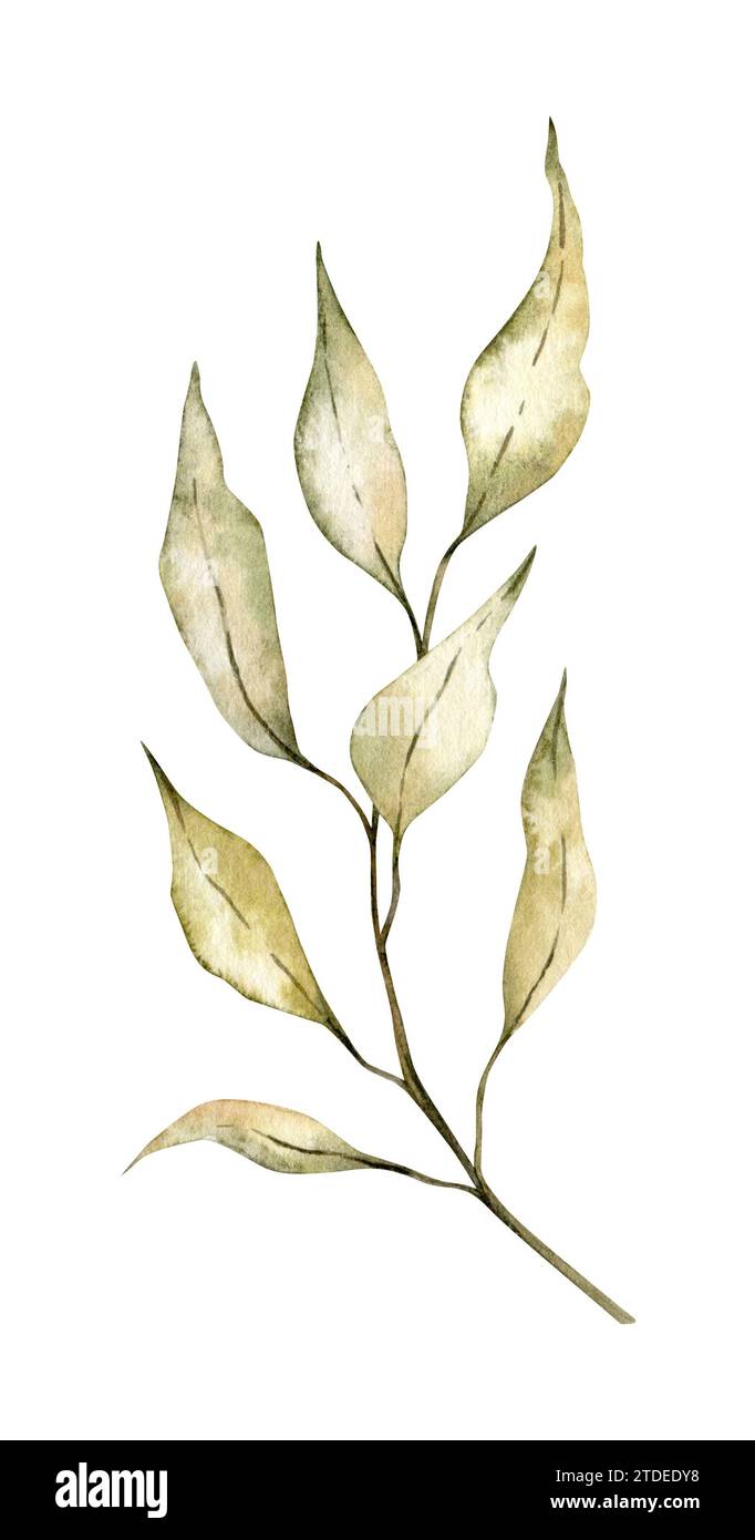 Rustic wedding greenery. Dried leaves, bleached grass, autumn herbal ...