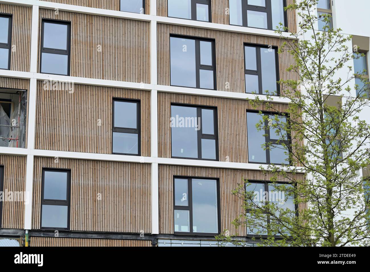 Germany, building construction Germany, Hamburg, Hafencity, new ...