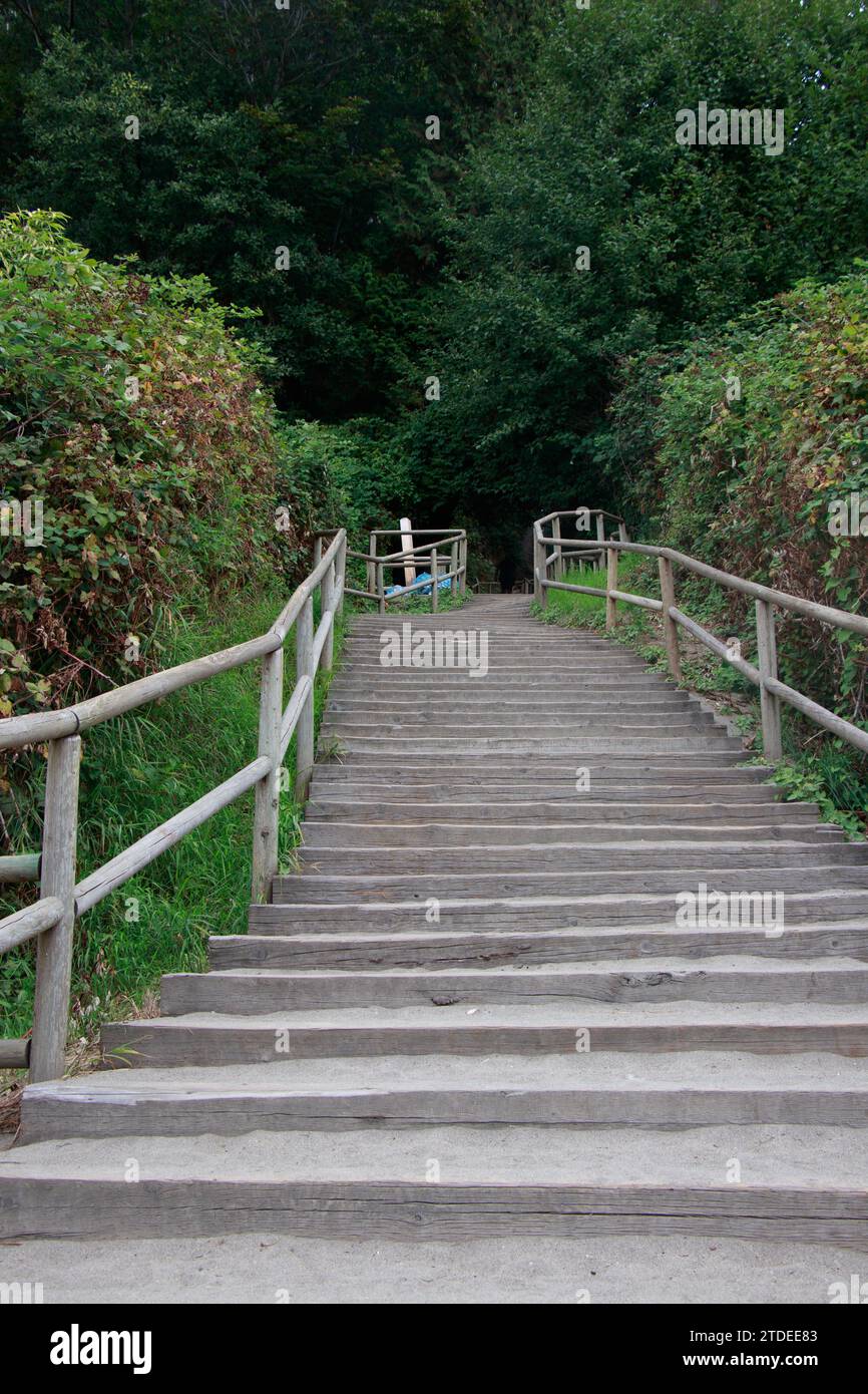 View of stairs leading to Wreck Beach in Vancouver Stock Photo - Alamy