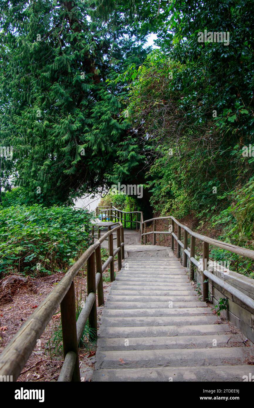 View of stairs leading to Wreck Beach in Vancouver Stock Photo - Alamy