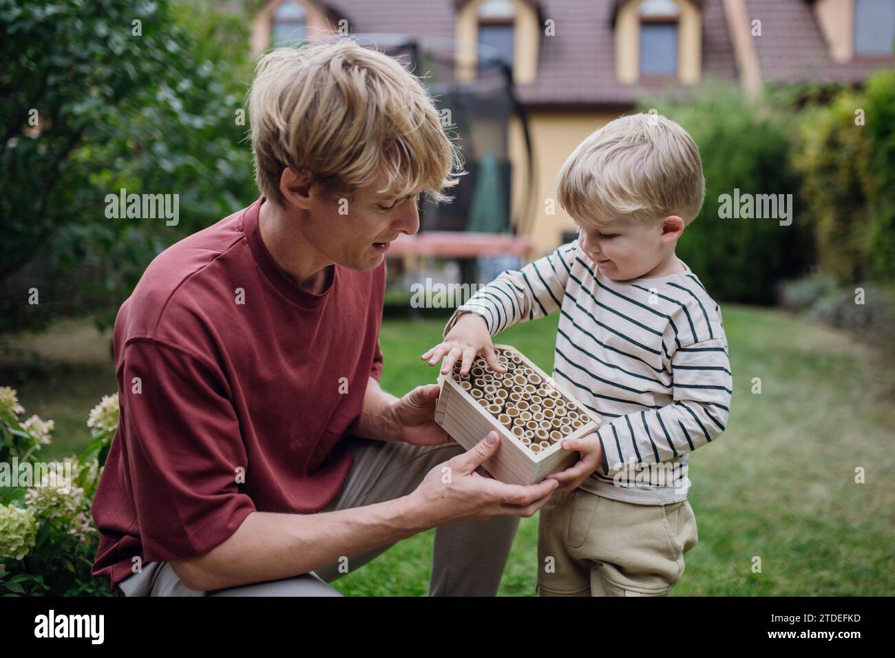 Father with little boy making bug hotel, or insect house outdoors in ...