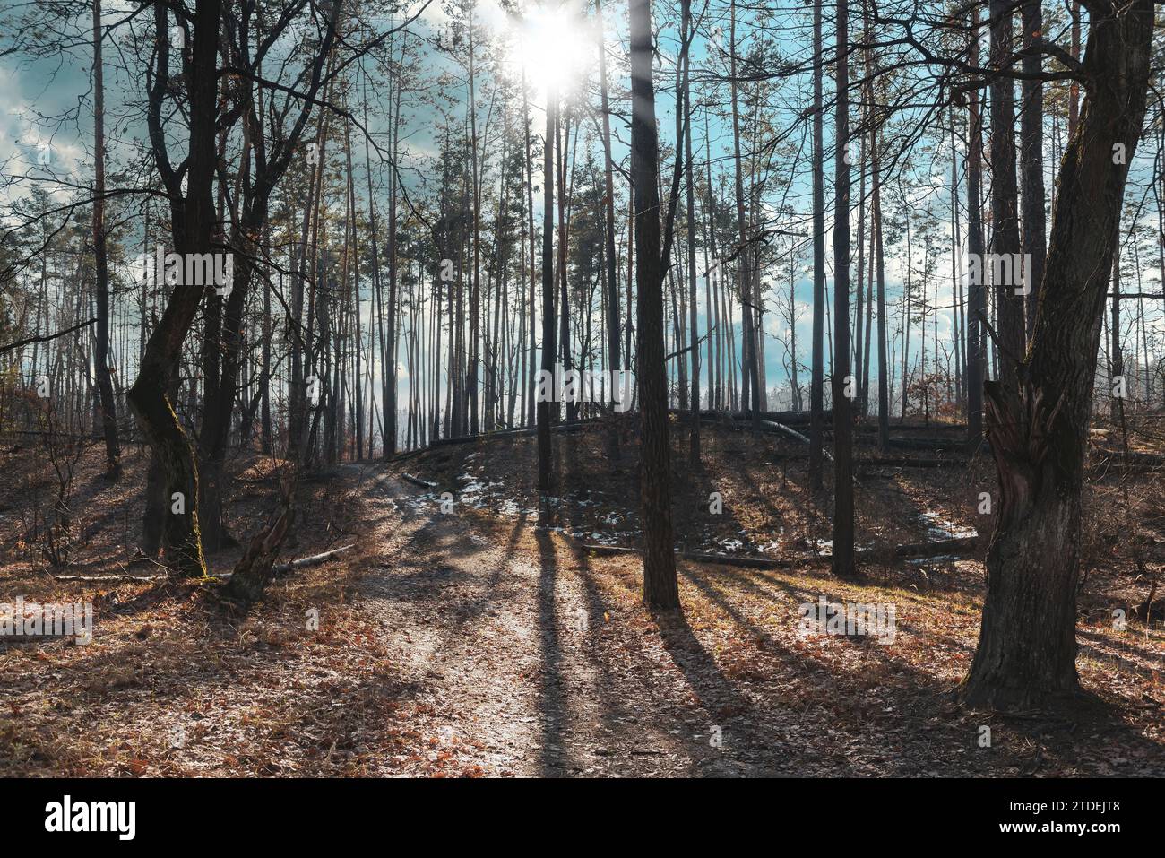 Melting to the sun hi-res stock photography and images - Alamy