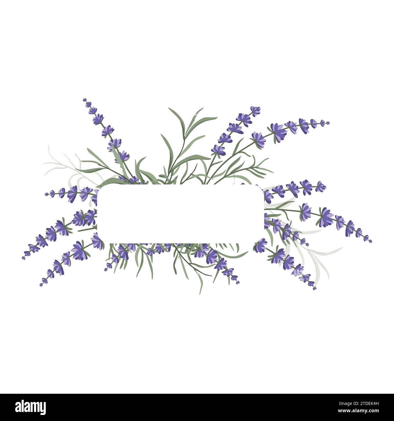 A pattern of lavender twigs to decorate your poster with a text stamp ...