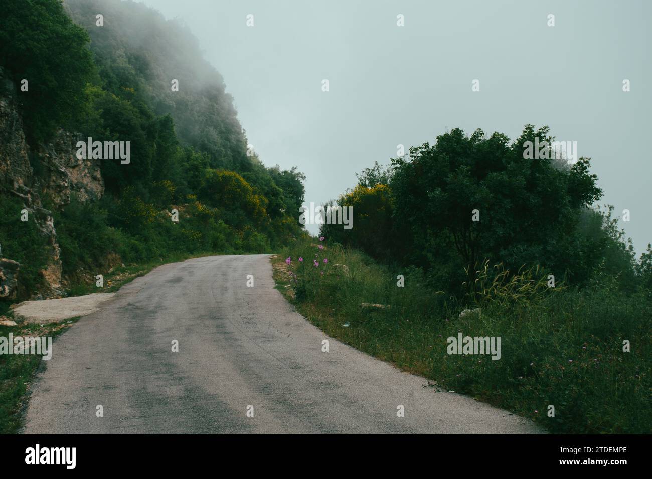 Landscape in Tannourine Mount Lebanon Stock Photo - Alamy