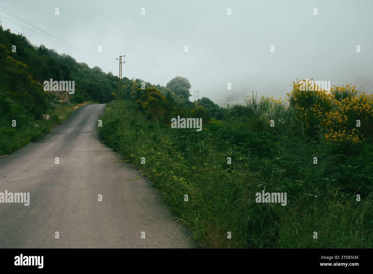 Mountain road in lebanon hi-res stock photography and images - Alamy