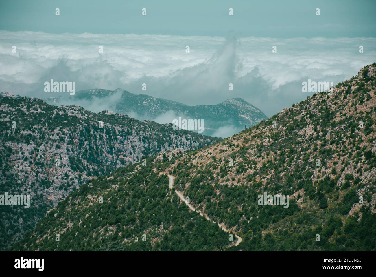 Landscape in Tannourine Mount Lebanon Stock Photo - Alamy