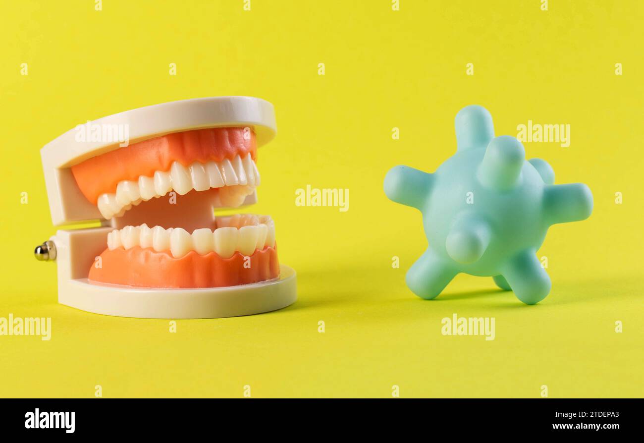 Virus and bacteria model on a yellow background dental jaw mockup. The ...