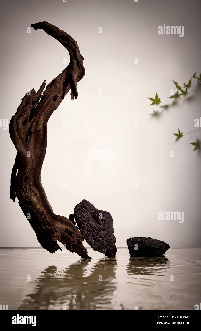 Product exhibition backgrounds, Studio backdrop for product photos ...