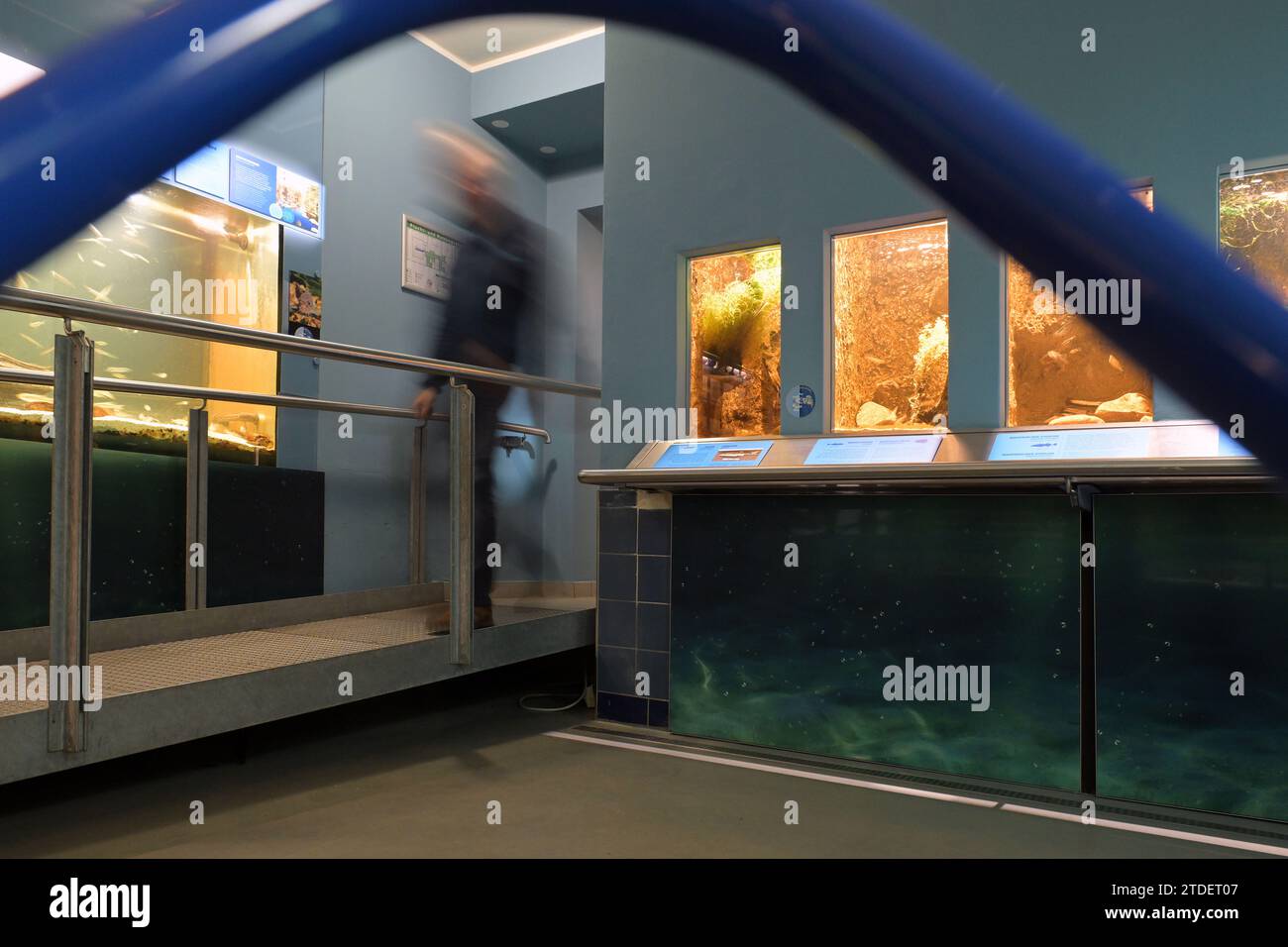 Potsdam, Germany. 18th Dec, 2023. Large and small aquariums are set up ...