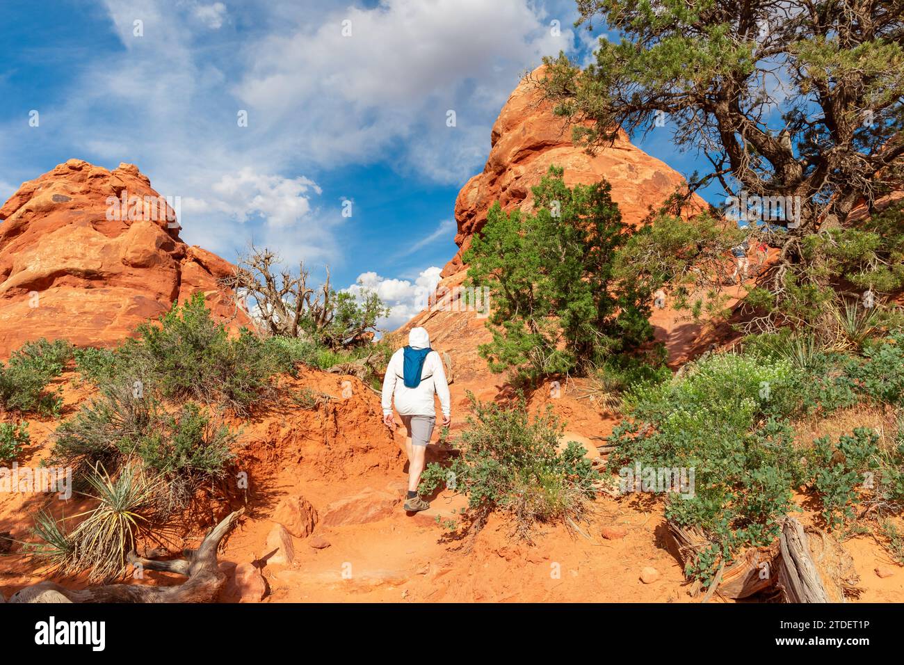 Man Hiking on Mountain Trip in the Windows Section Trail in Arches ...