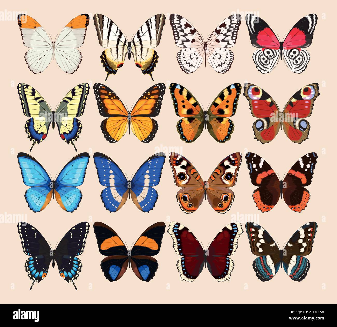 Collection of butterflies Stock Vector Image & Art - Alamy