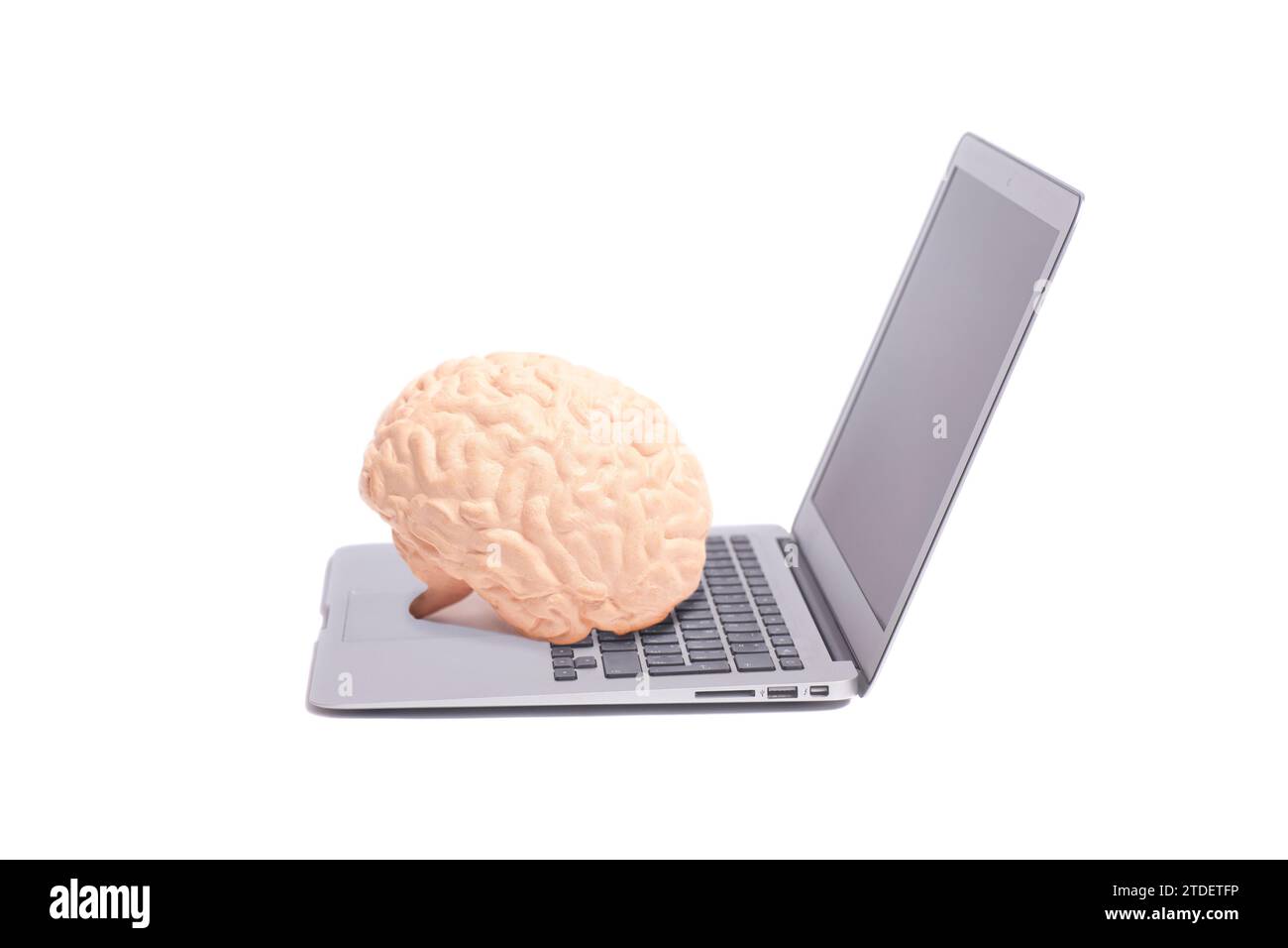 Human brain anatomical model on laptop Stock Photo - Alamy