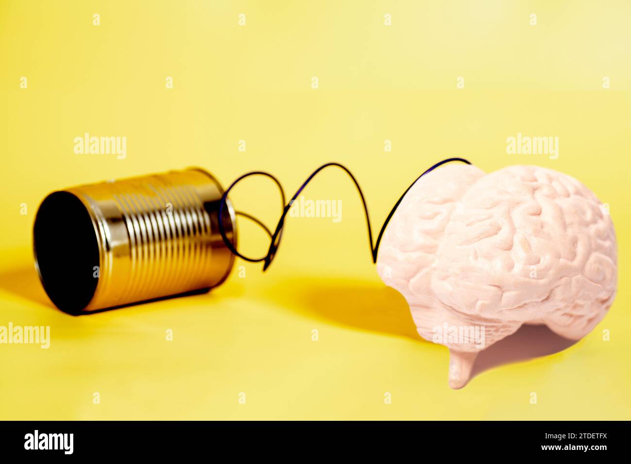 Anatomical connection hi-res stock photography and images - Alamy