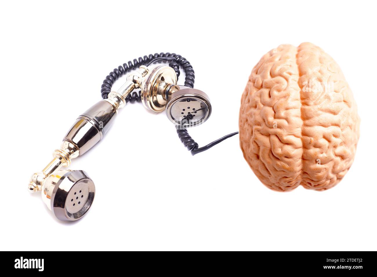 Vintage telephone receiver with human brain anatomical model isolated ...