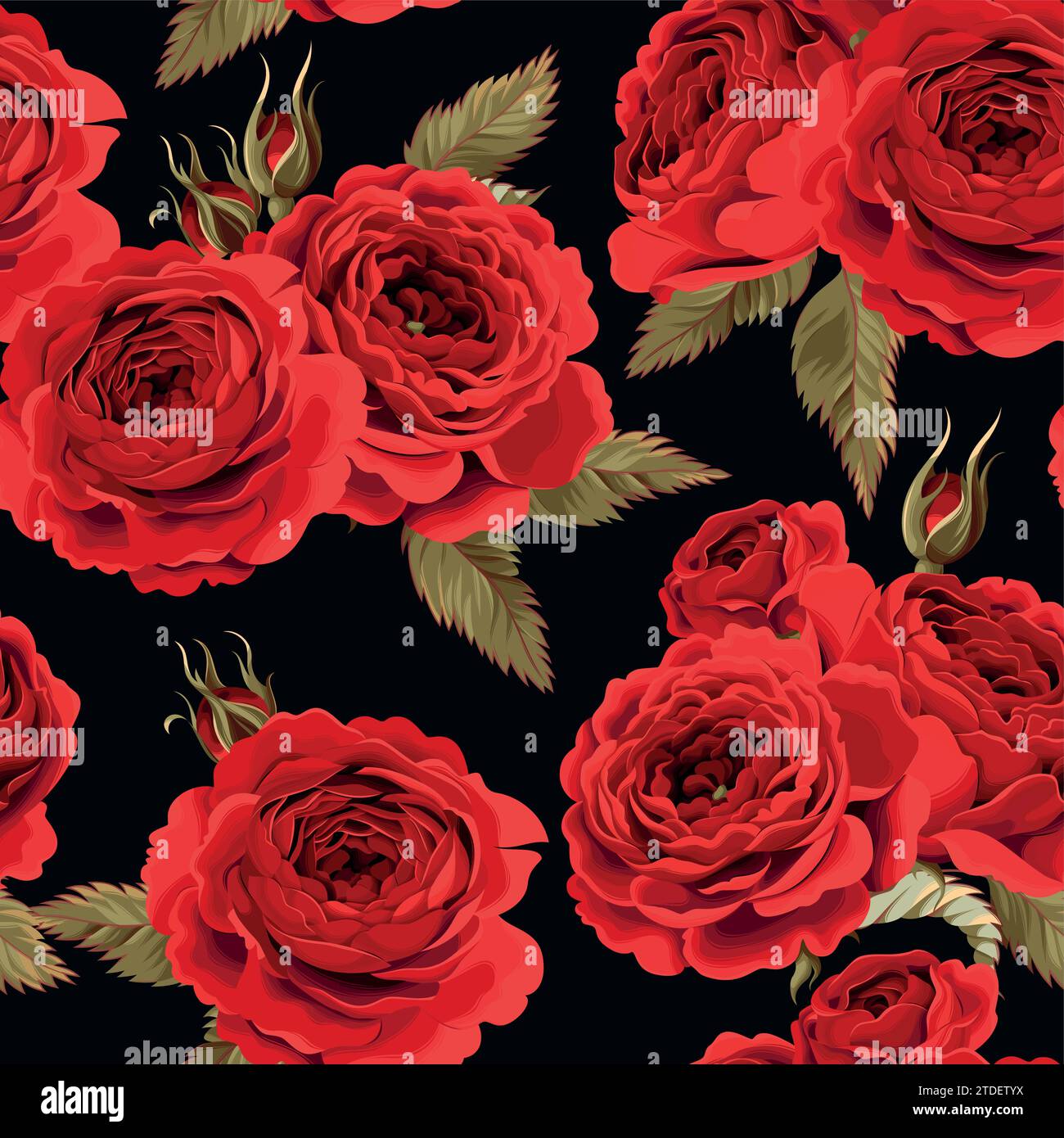 English roses seamless Stock Vector Image & Art - Alamy