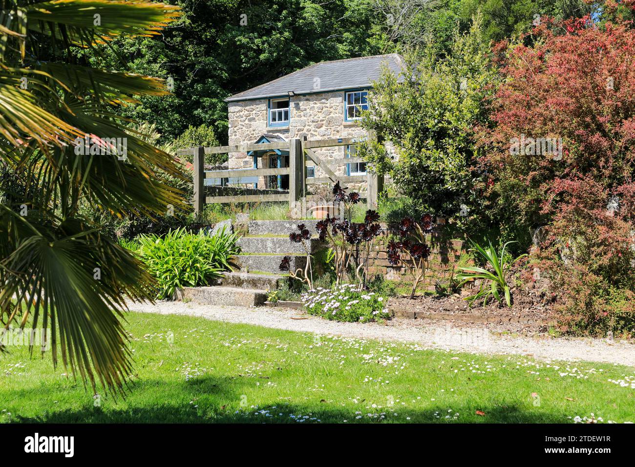 Trengwainton Gardens Cornwall, England, UK Stock Photo - Alamy