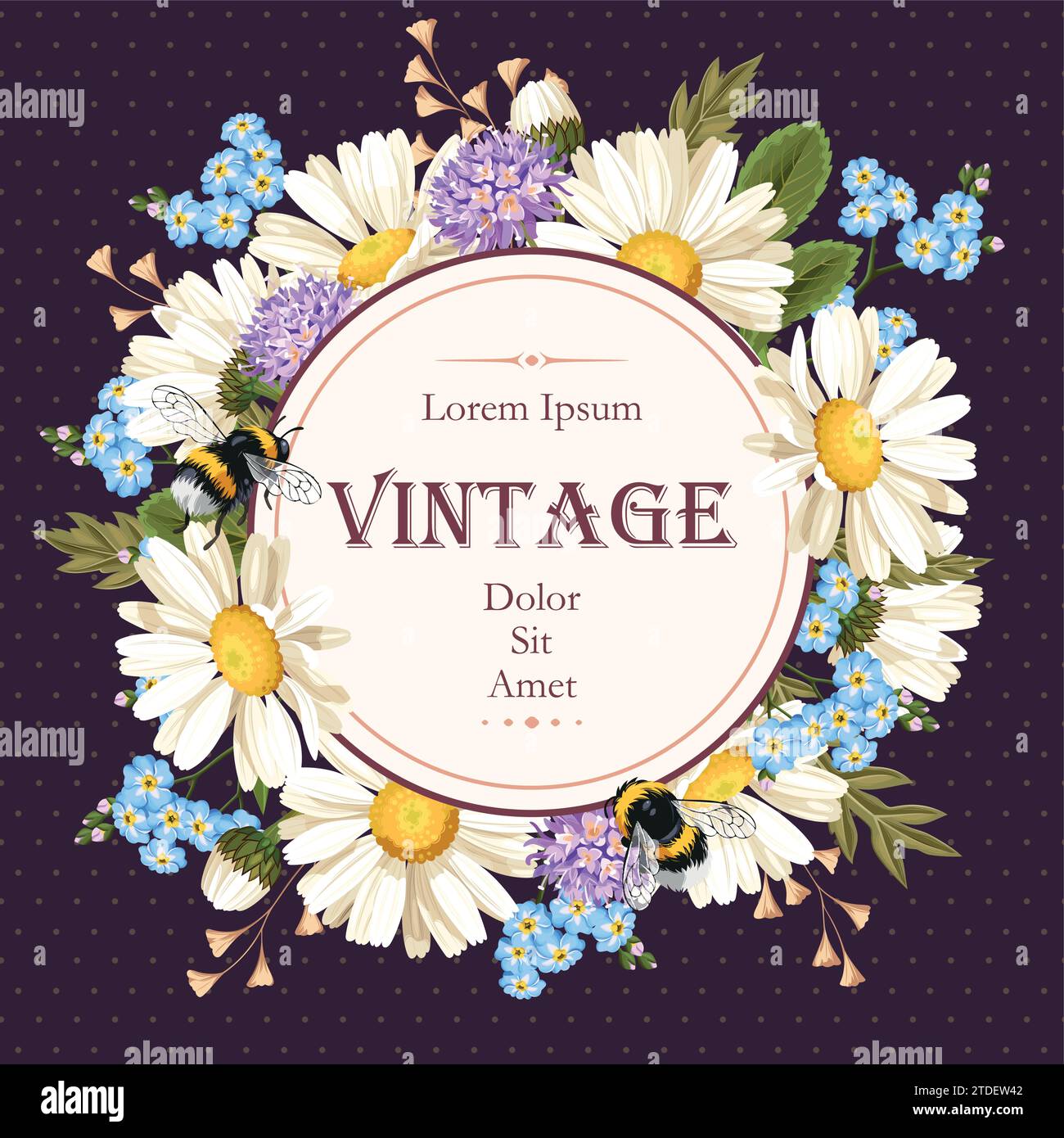 Summer meadow in bloom Stock Vector Images - Alamy