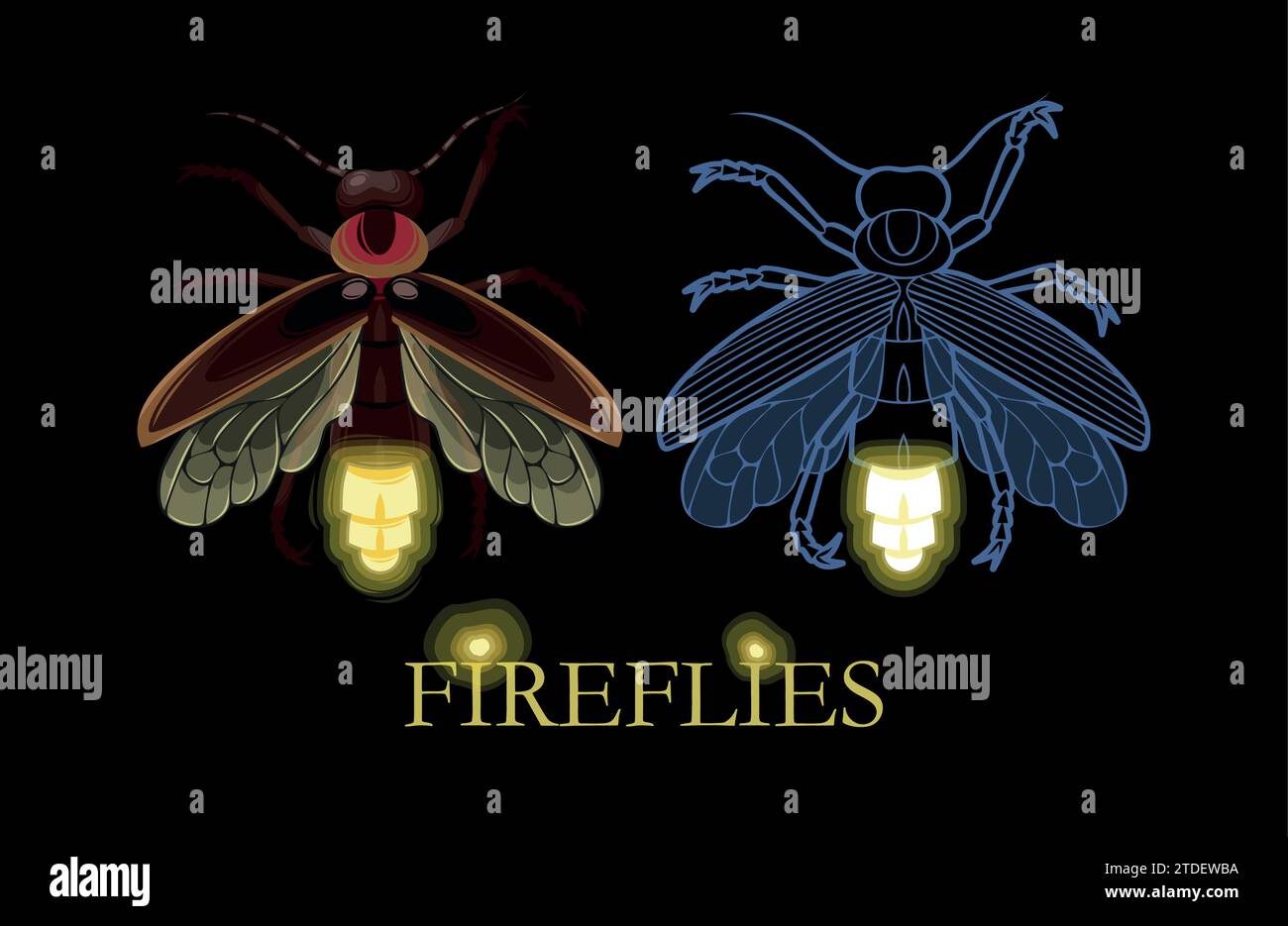 Illustration of glowing firefly Stock Vector Image & Art - Alamy