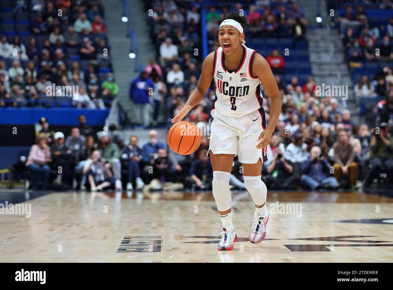 HARTFORD, CT - DECEMBER 16: UConn Huskies guard KK Arnold (2) in action ...