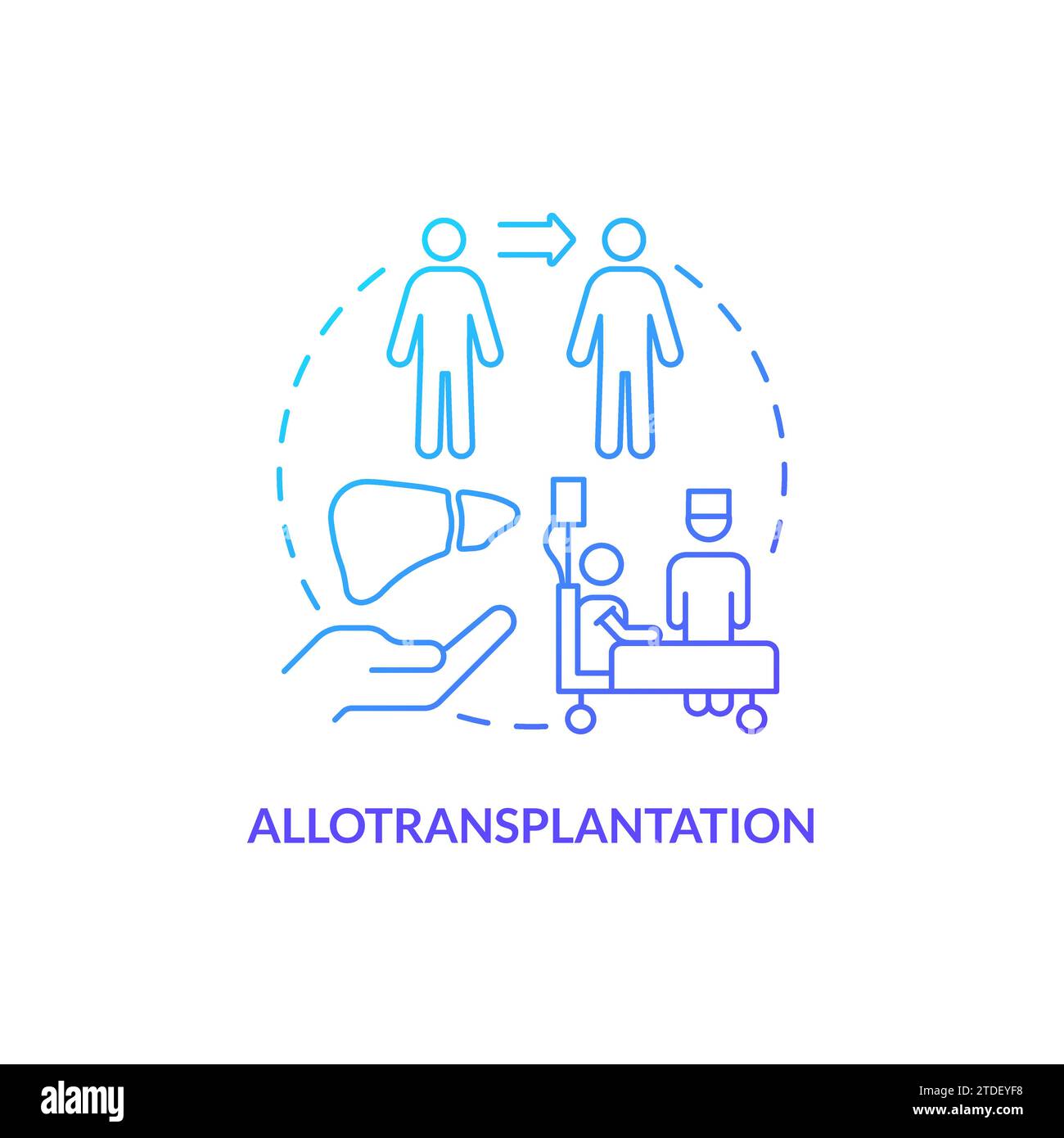 Thin line simple gradient allotransplantation icon concept Stock Vector Image & Art - Alamy