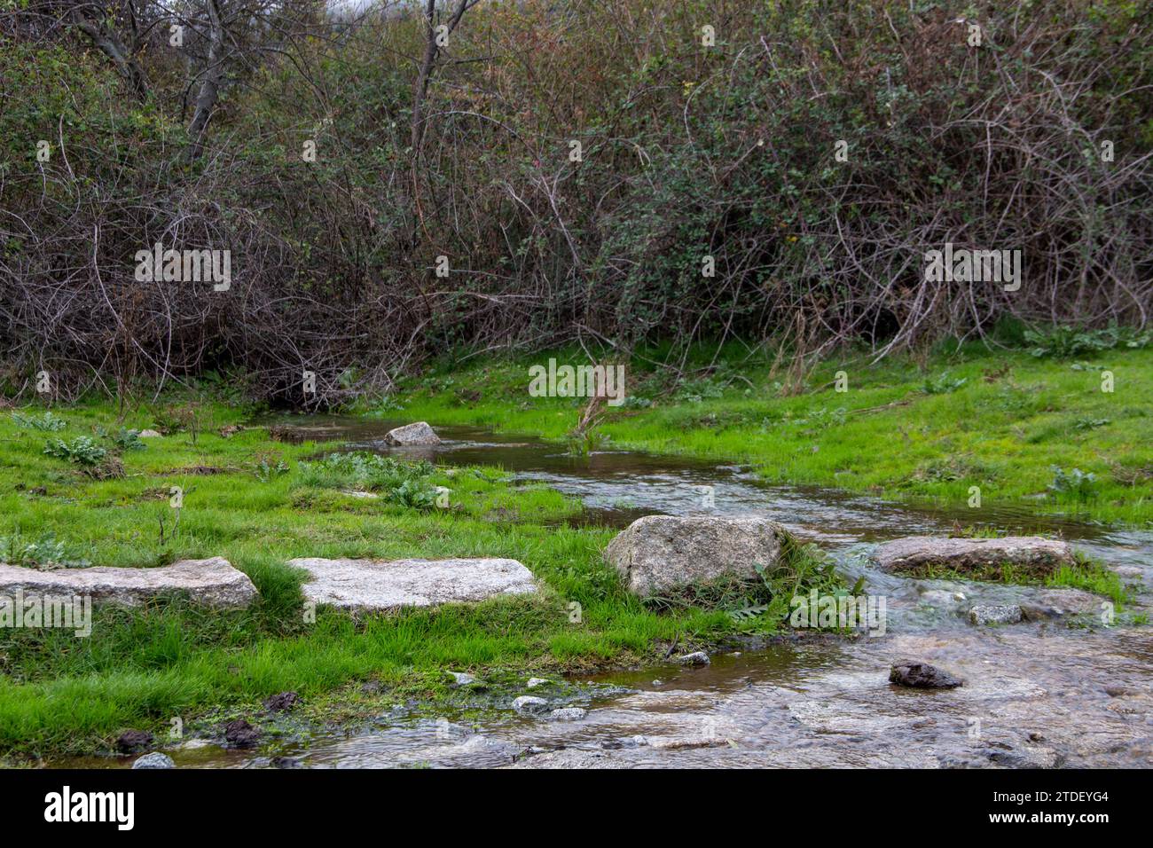 Stream water running through agricultural hi-res stock photography and ...
