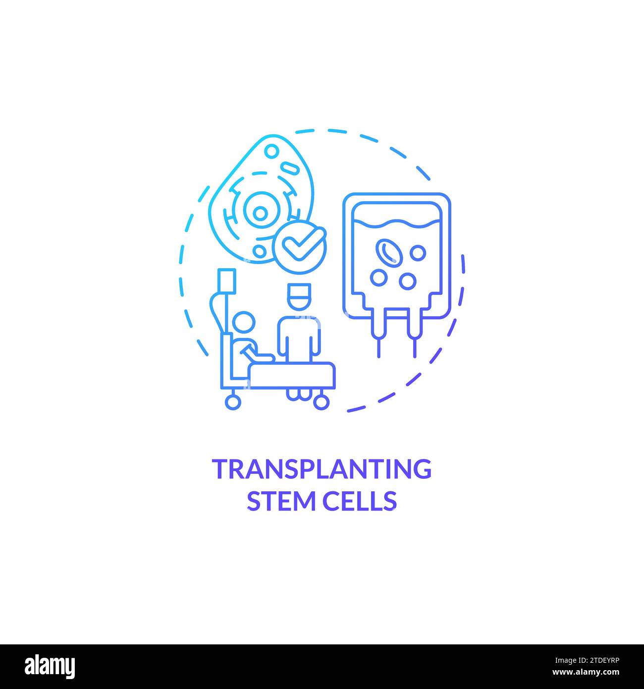 Transplanting process hi-res stock photography and images - Alamy