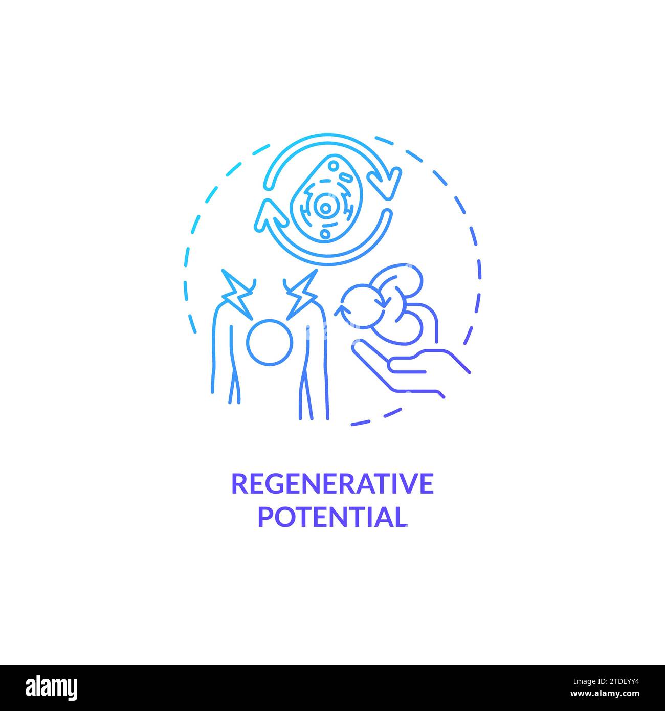 Thin line gradient regenerative potential icon concept Stock Vector Image & Art - Alamy