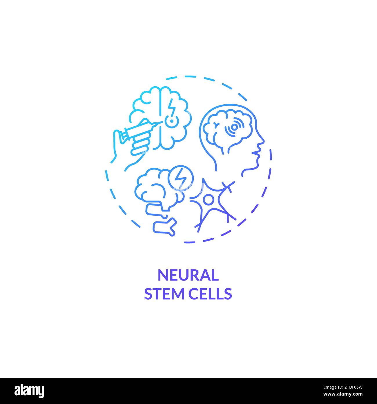Thin line simple gradient neural stem cells icon concept Stock Vector Image & Art - Alamy