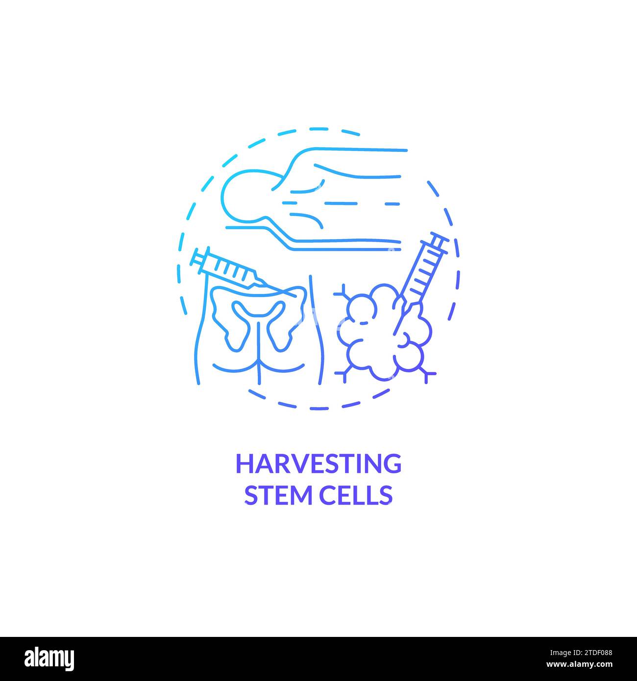 Thin line simple gradient harvesting stem cells icon concept Stock Vector Image & Art - Alamy
