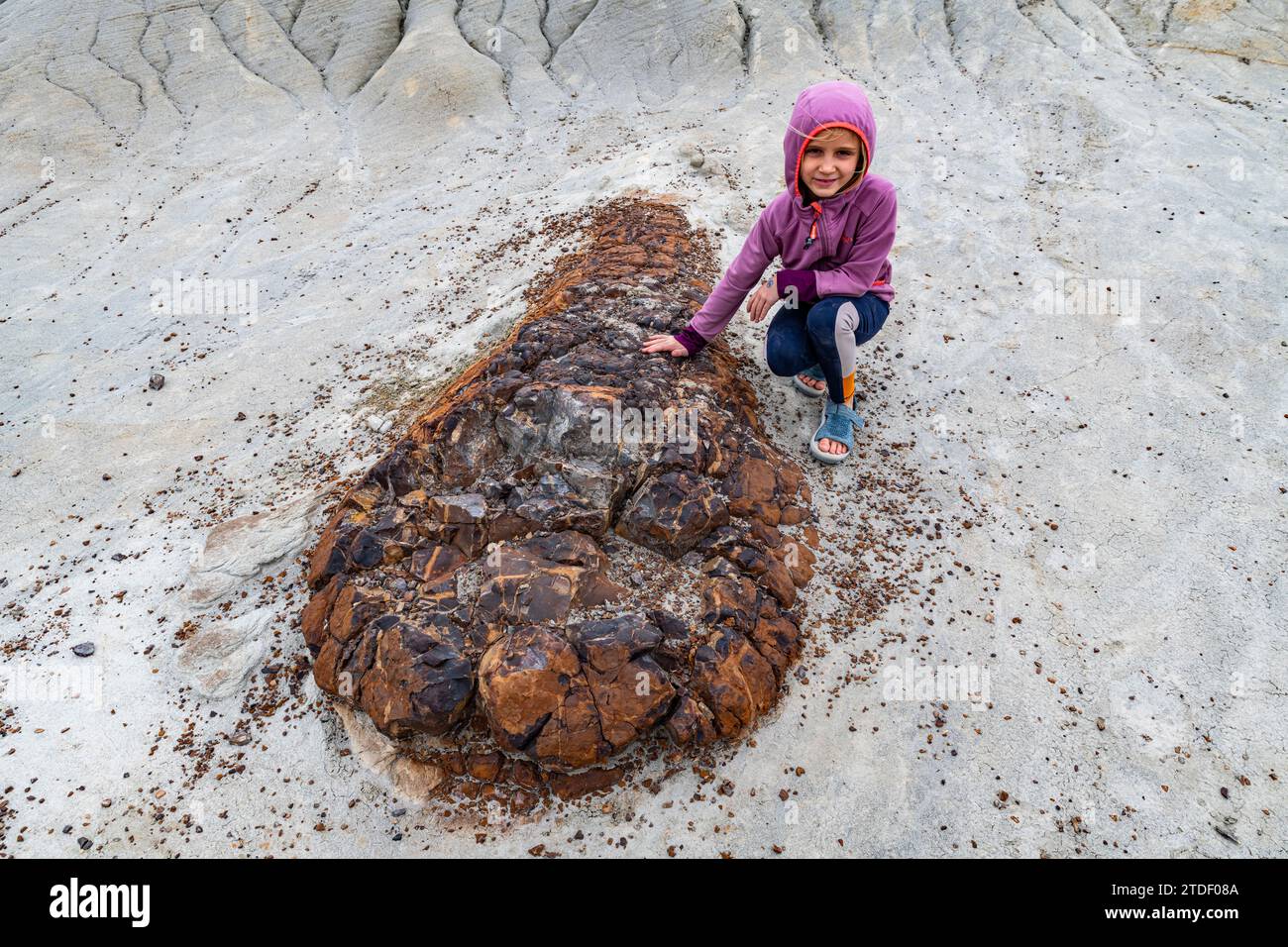 Girl at a Dinosaur fossil, Dinosaur Provincial Park, UNESCO World ...