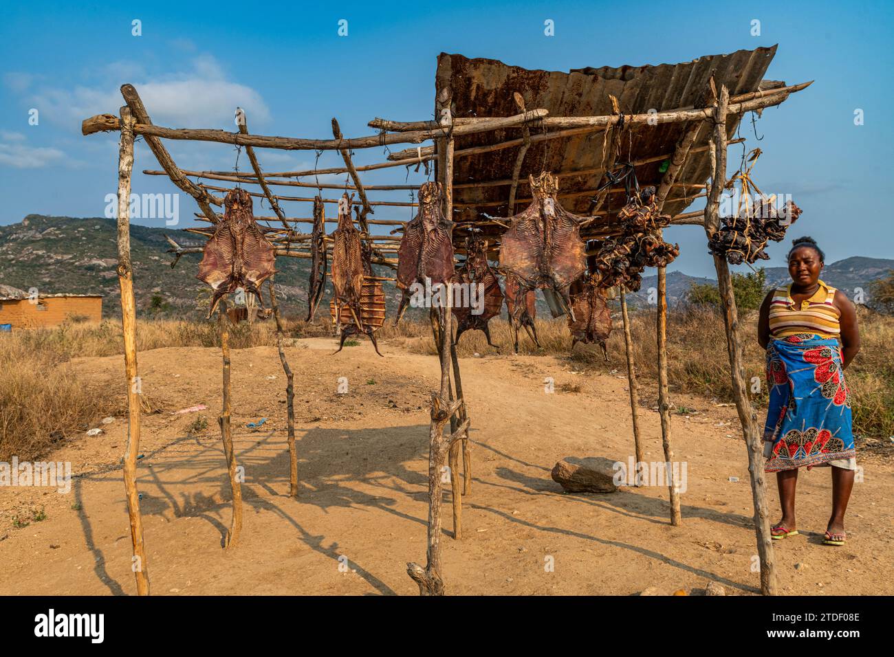 Dried rats for sale, Sumbe, Kwanza Sul, Angola, Africa Stock Photo - Alamy