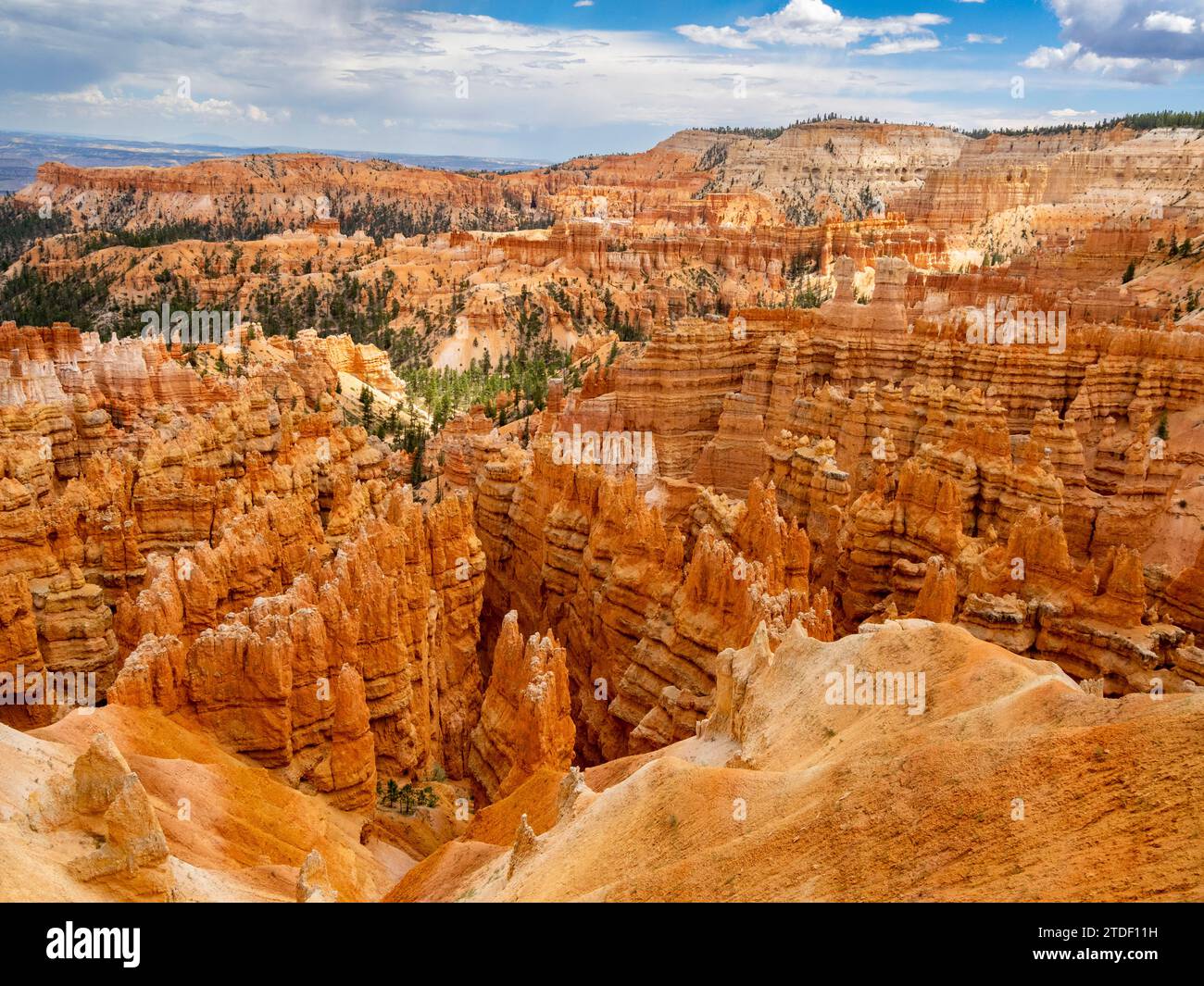 Red rock formations known as hoodoos in Bryce Canyon National Park ...