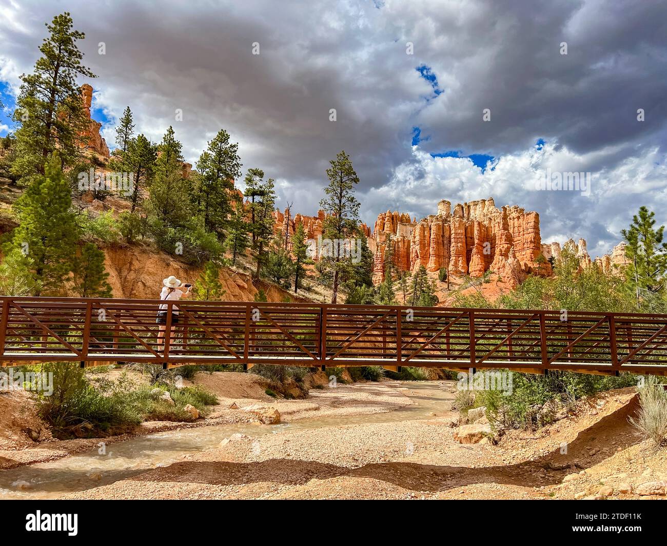 Cave woman running hi-res stock photography and images - Alamy