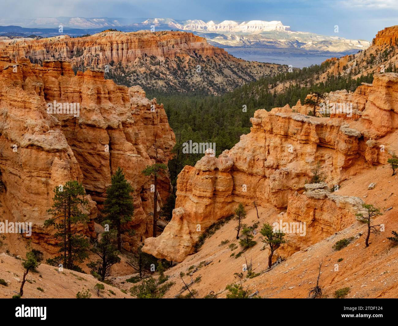 Red rock formations known as hoodoos in Bryce Canyon National Park ...