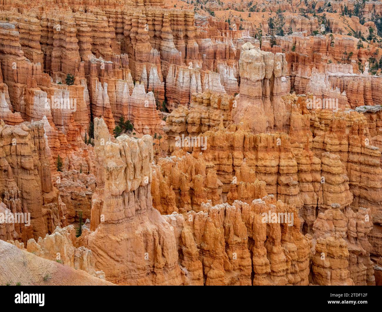 Red rock formations known as hoodoos in Bryce Canyon National Park ...