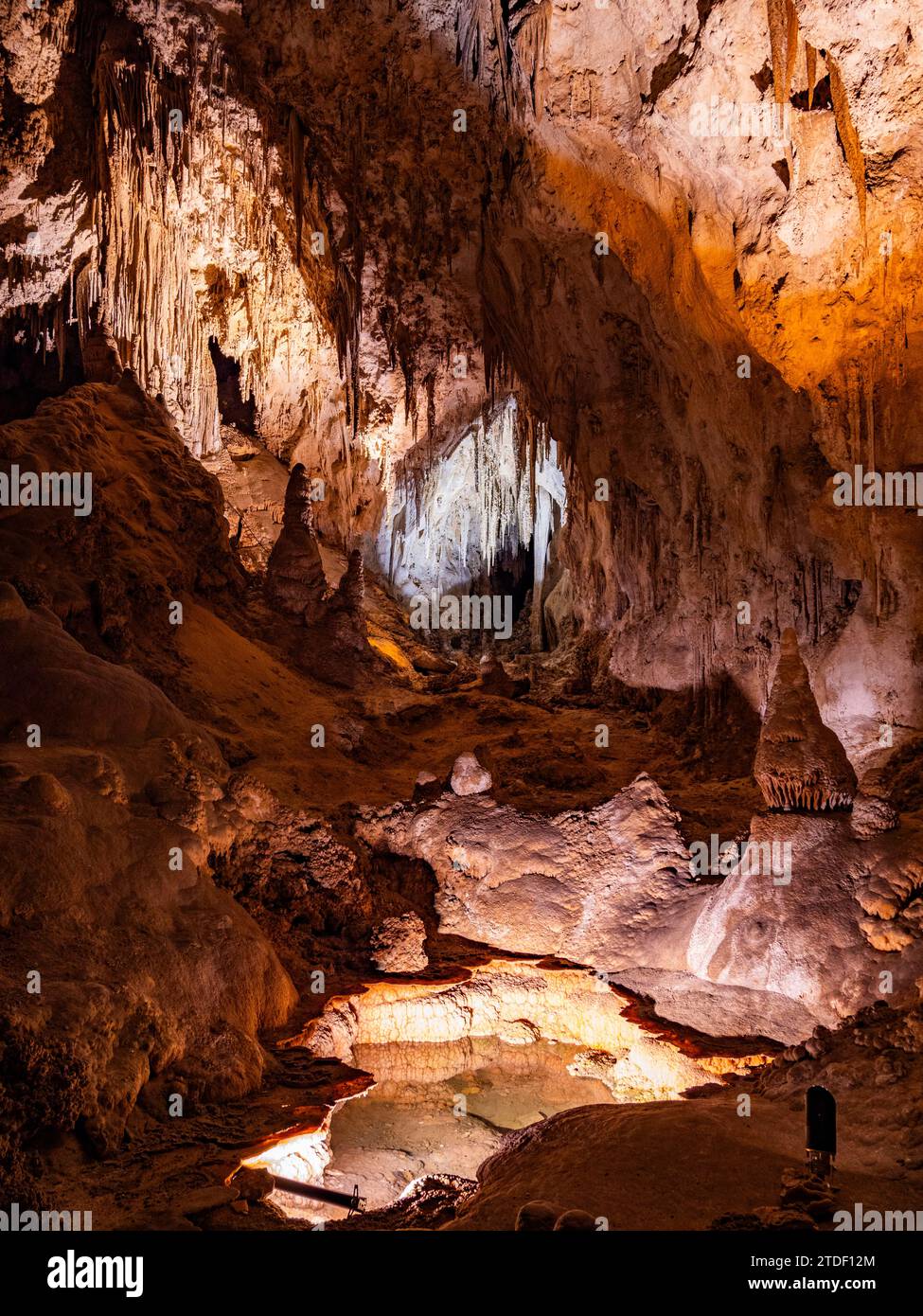 Inside the Big Room at Carlsbad Caverns National Park, UNESCO World Heritage Site, located in ...