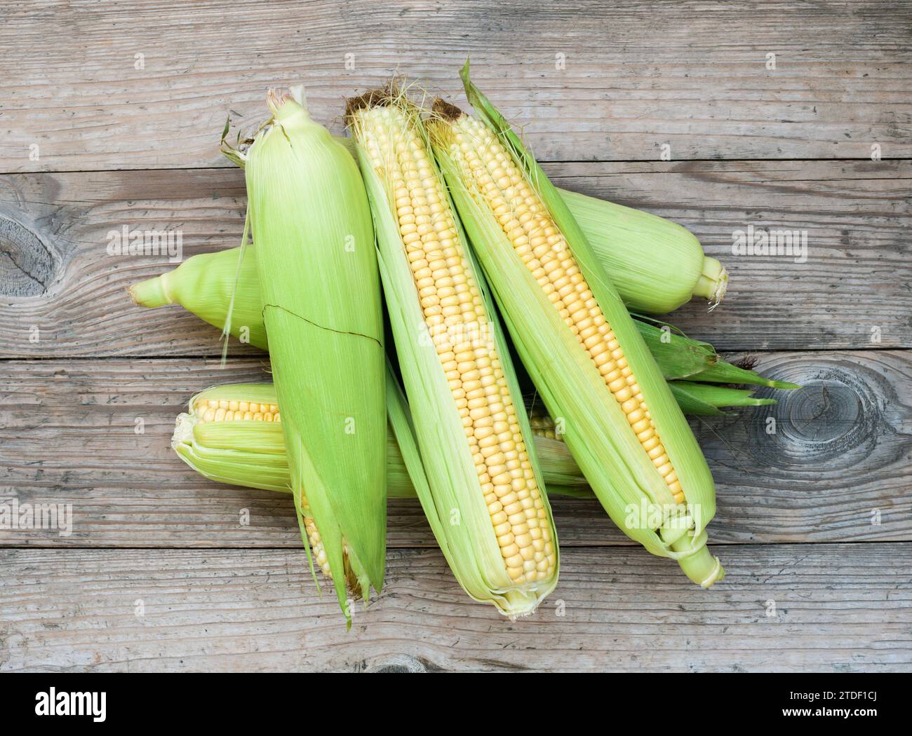 Top view of corn cobs on rustic wooden unpainted tabletop Stock Photo ...