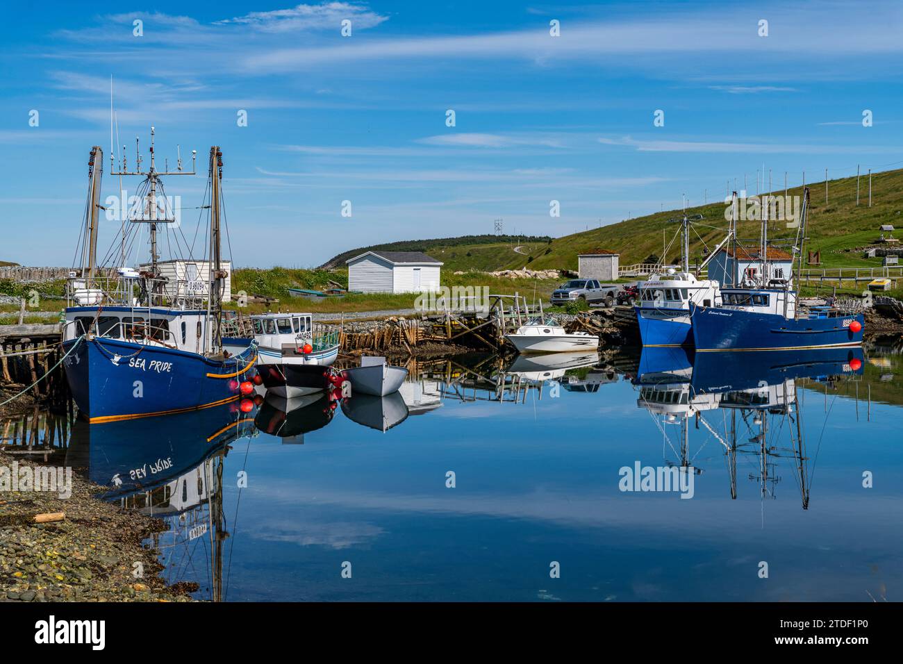 Ferryland harbour hi-res stock photography and images - Alamy