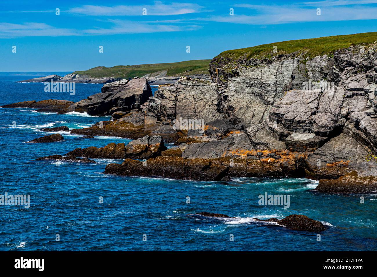 Wilderness area, Mistaken Point, UNESCO World Heritage Site, Avalon ...