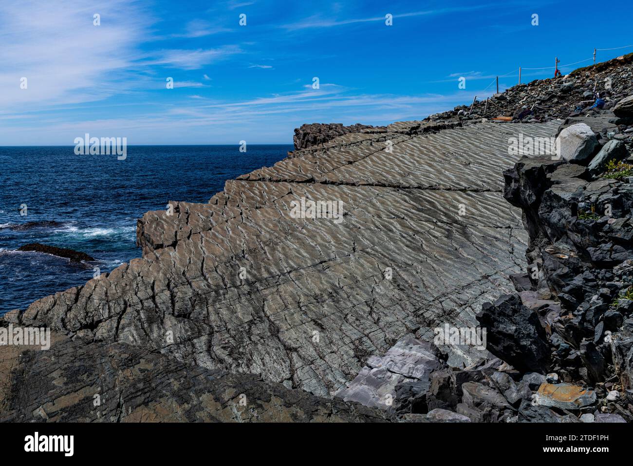 Precambrian fossils, Mistaken Point, UNESCO World Heritage Site, Avalon ...