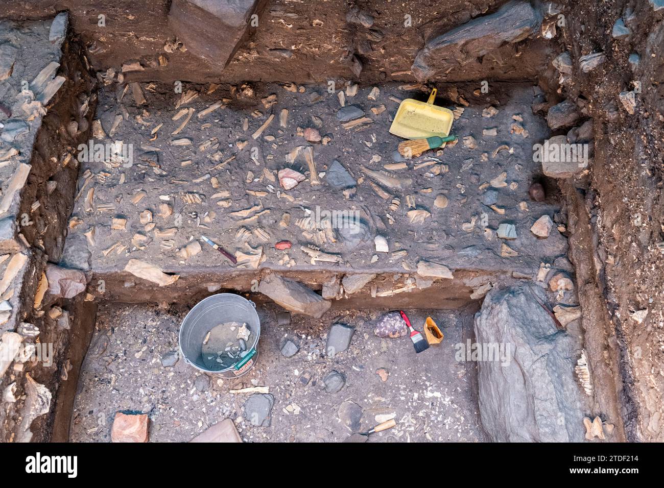 Buffalo bones in the Museum of the UNESCO Site of Head Smashed in ...
