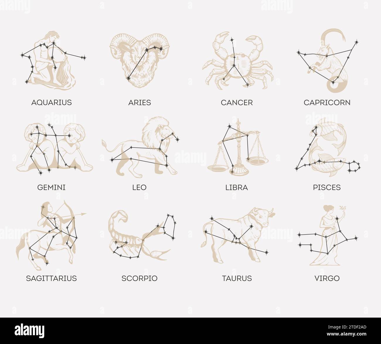 Collection of zodiac signs. Constellation set Stock Vector Image & Art ...